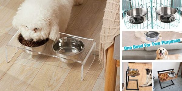 Stylish Options for Your Dog's Dining Set
